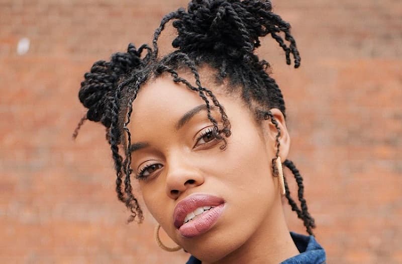 9 Creative Mini Twist Hairstyles to Try | FPN