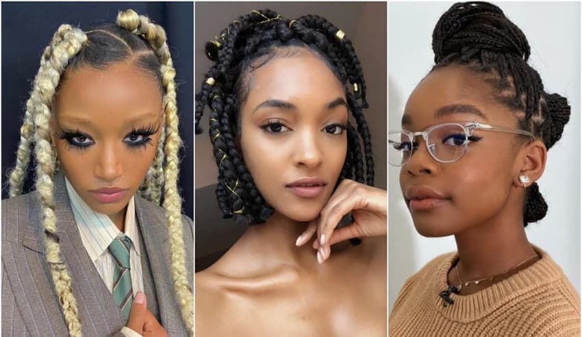15 Box Braids You Have To Wear Before The Next Year | FPN