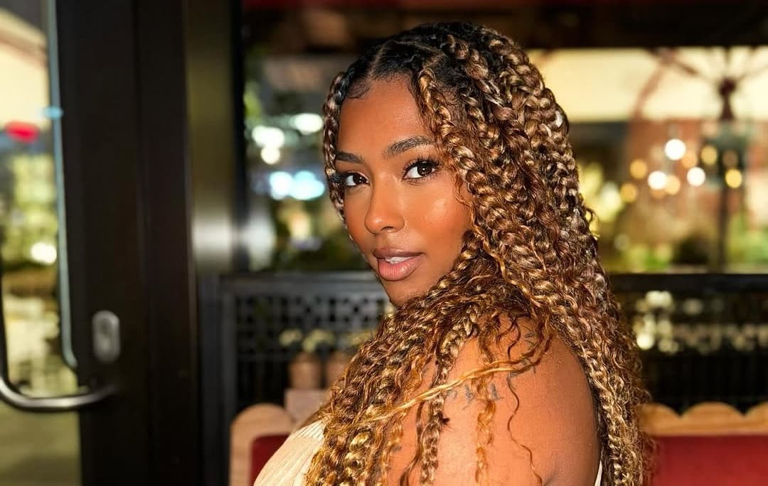 15 Box Braids to Try Now Before it’s Too Late | FPN