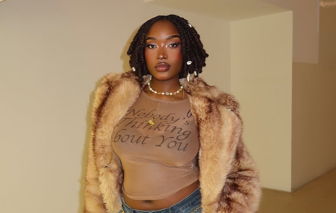 Everything to Know About the Coco Twist Hairstyle | FPN